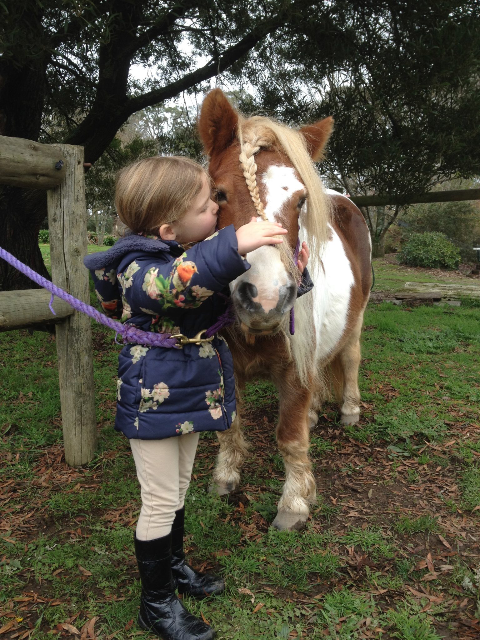 Pony Rides In The Forest - Melbourne's Pony Parties