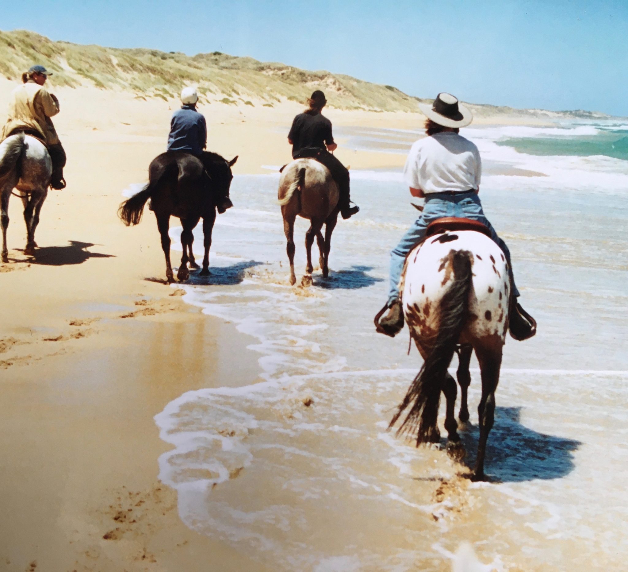 7 Valuable Reasons For Owning A Horse - Melbourne's Pony Parties