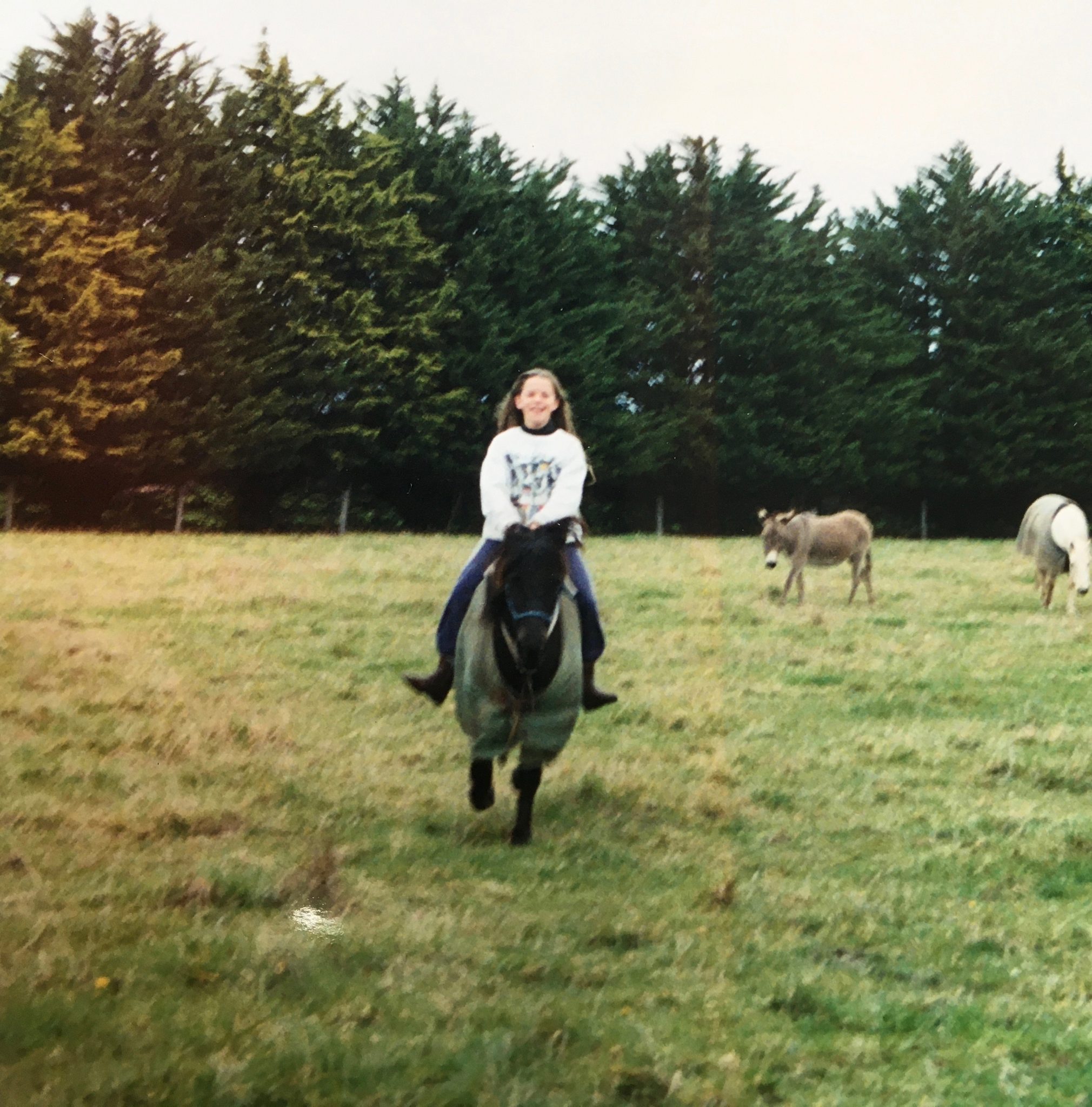 7 Valuable Reasons For Owning A Horse - Melbourne's Pony Parties