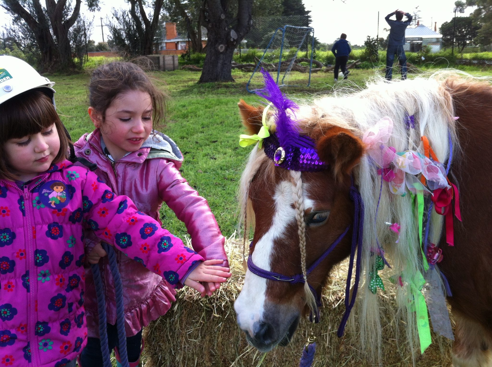 Pony Parties In Melbourne - Melbourne's Pony Parties