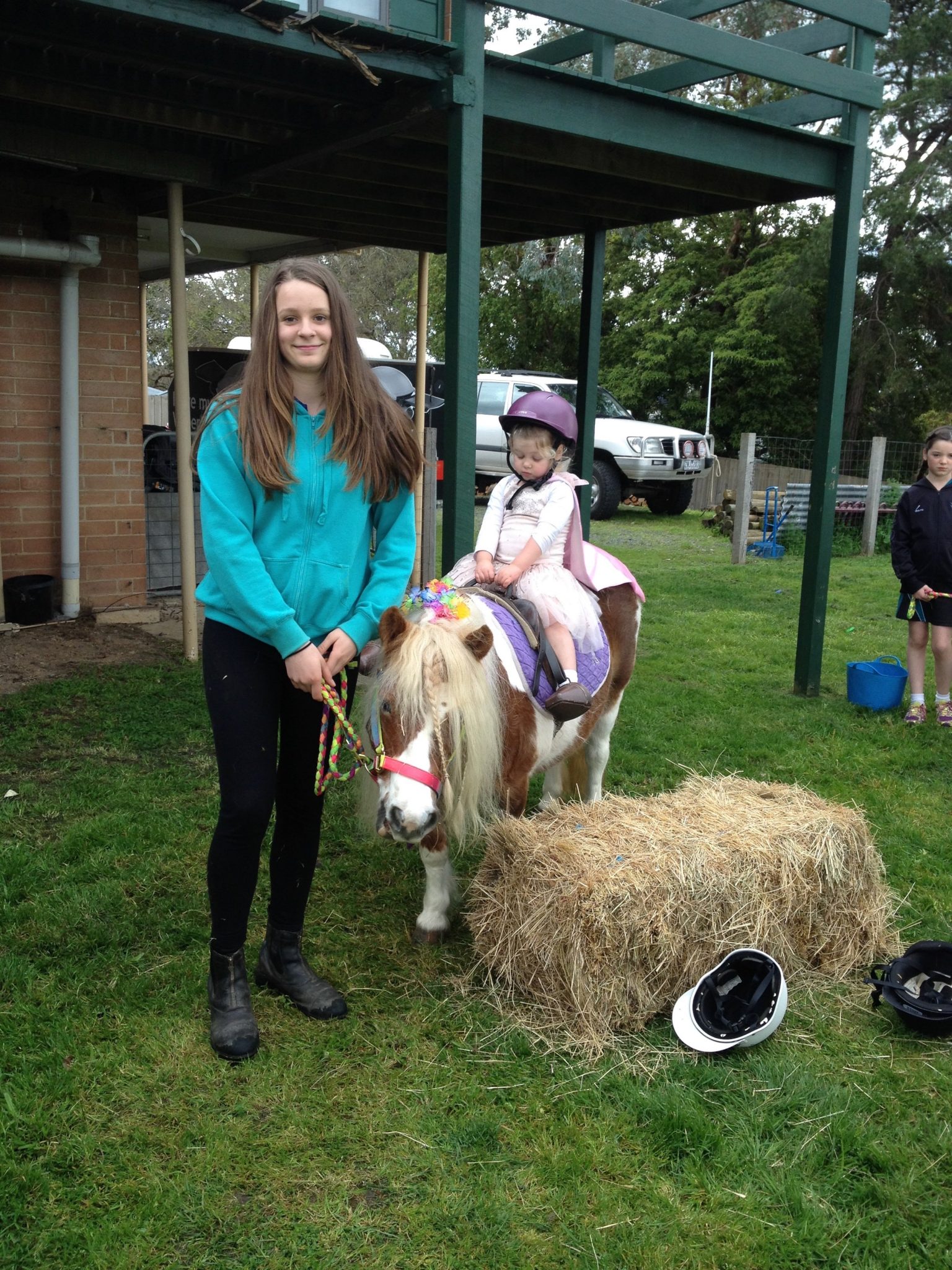 Pony Parties In Melbourne - Melbourne's Pony Parties