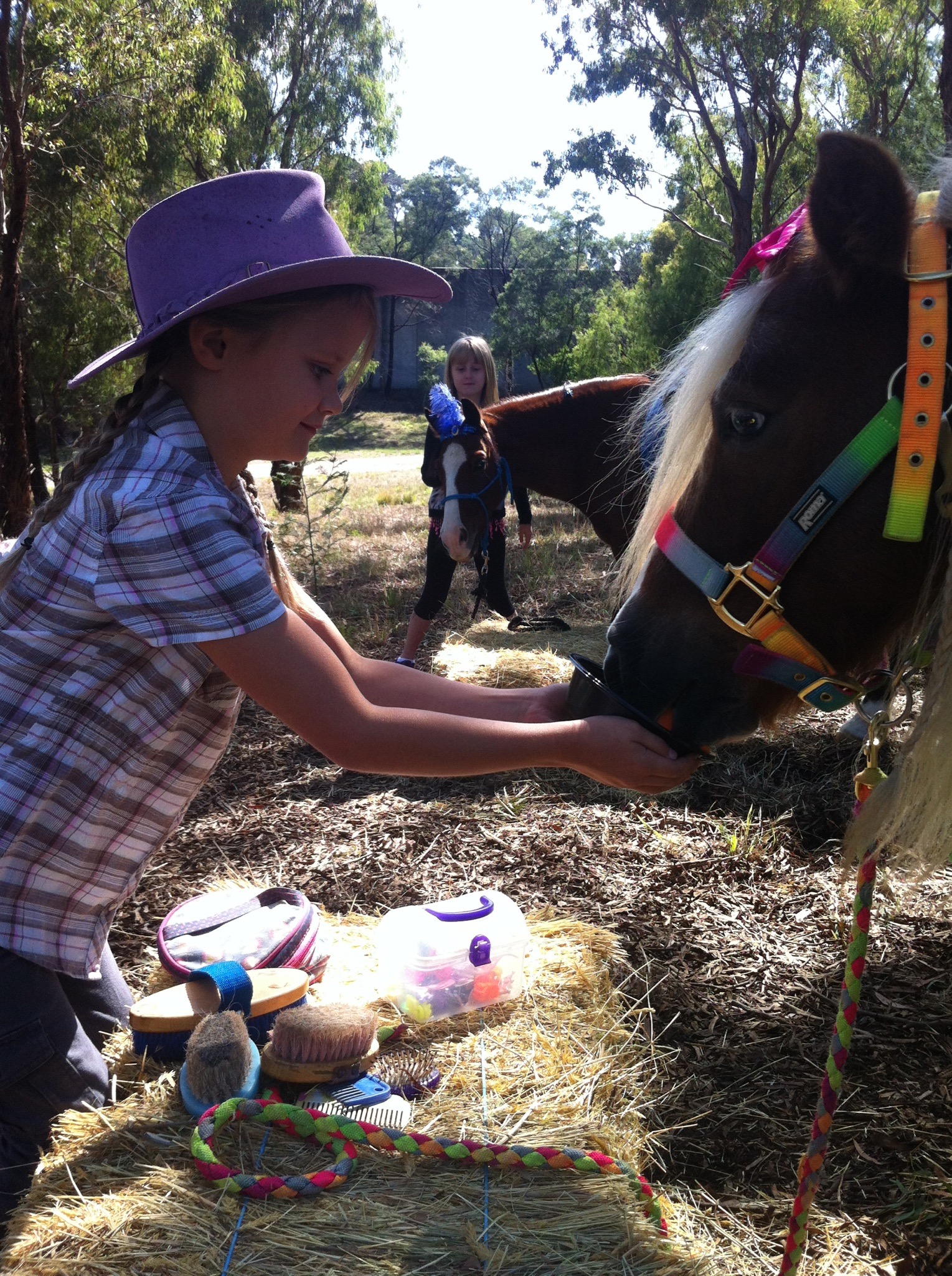 Pony Parties In Melbourne - Melbourne's Pony Parties
