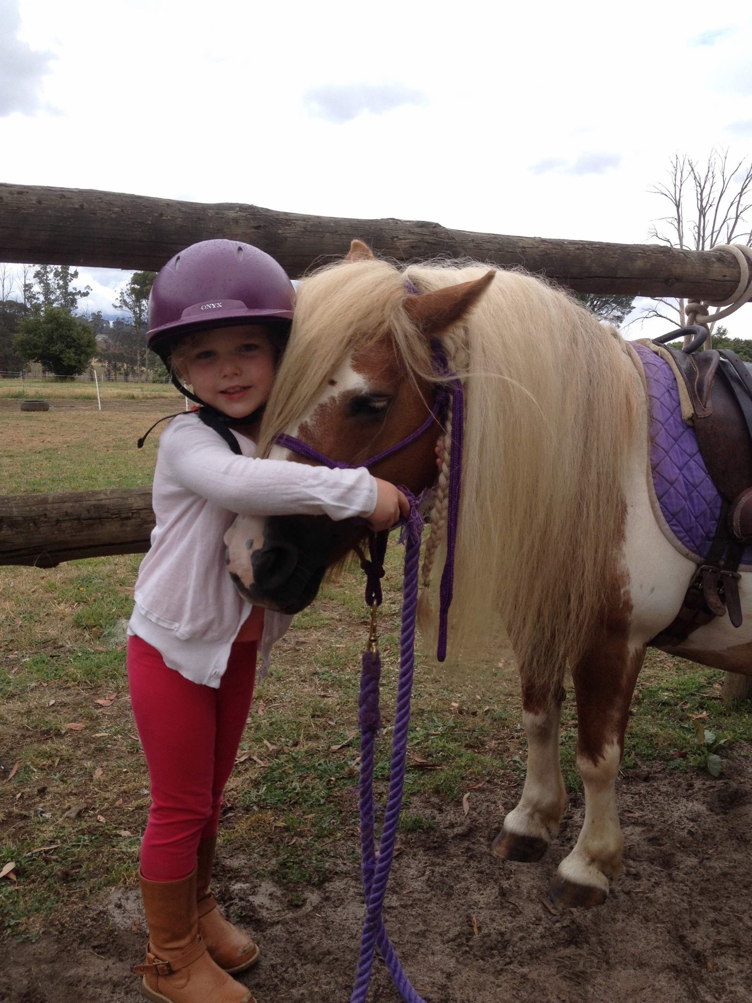 Shetland Pony reveals horsey-hair-care routine - Melbourne's Pony Parties