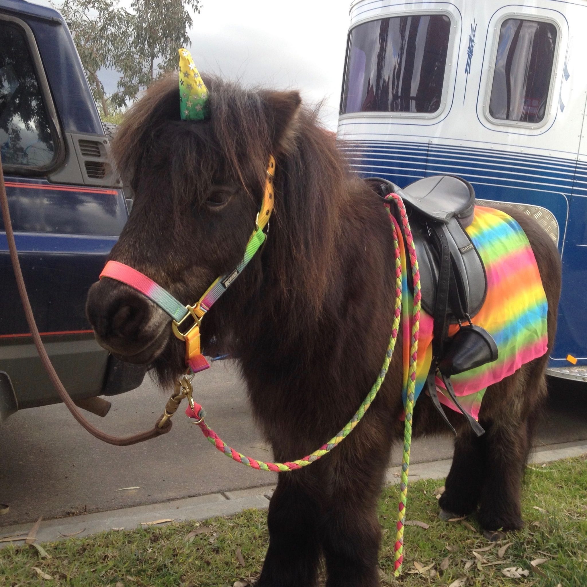 Unicorn Pony Parties - Melbourne's Pony Parties