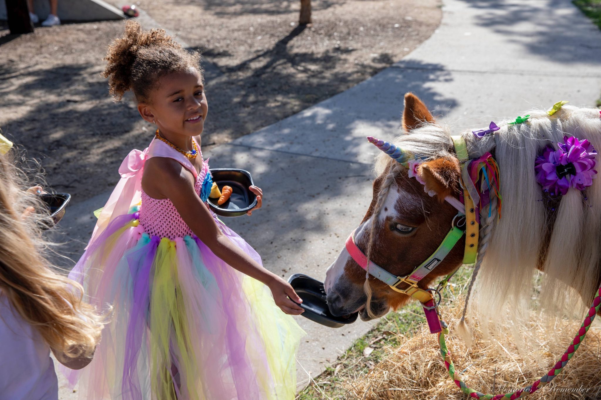 Unicorn Pony Parties - Melbourne's Pony Parties
